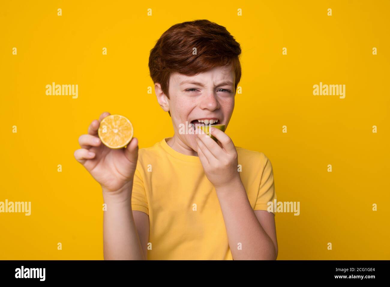 Young boy with red hair eating a sliced lemon on a yellow studio wall ...