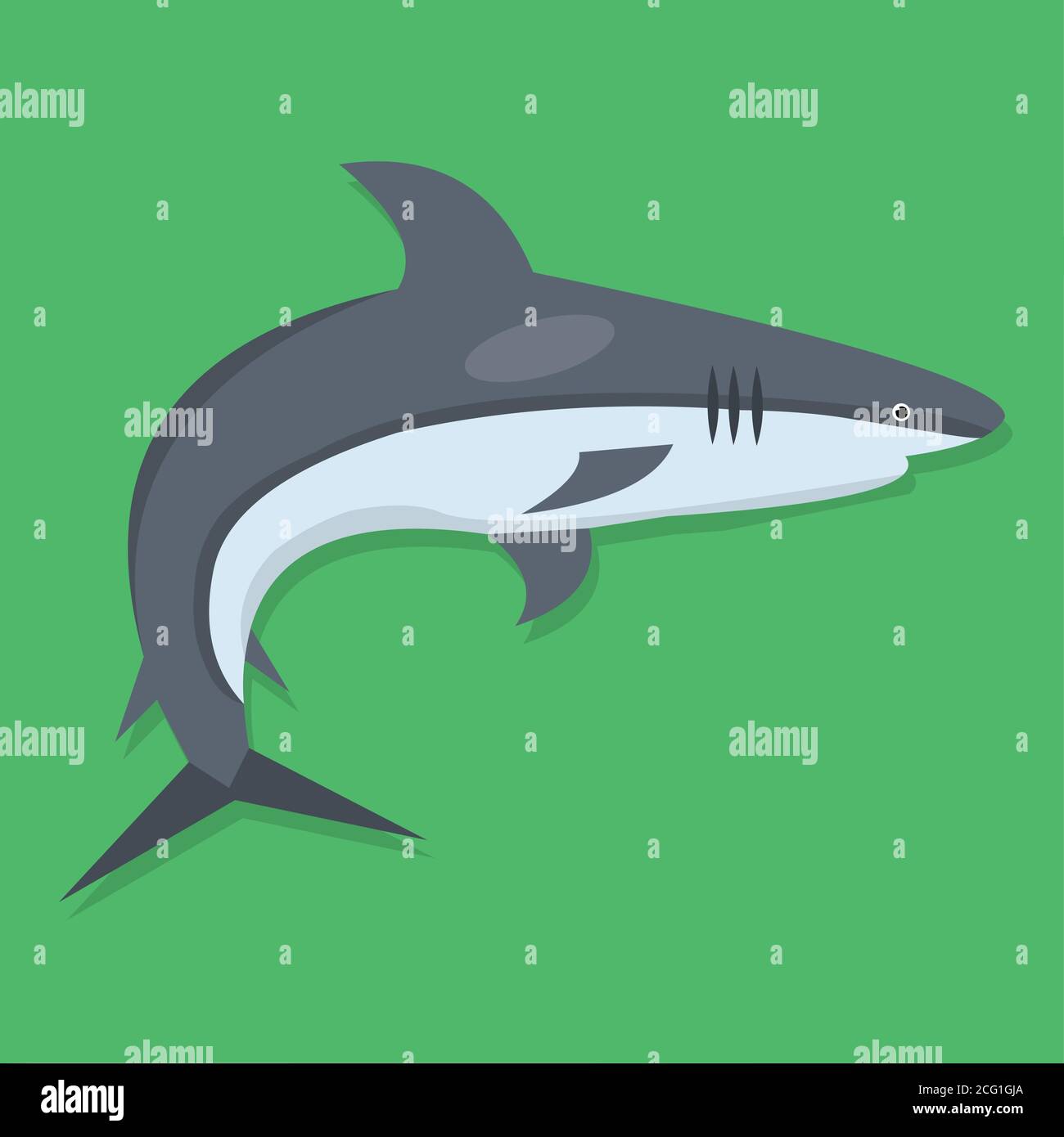 shark vector illustration in flat style Stock Vector Image & Art - Alamy