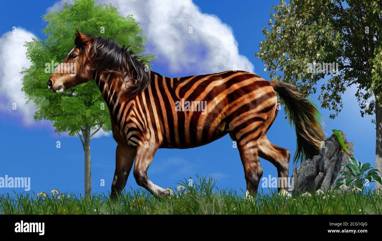 Zebra horse hi-res stock photography and images - Alamy