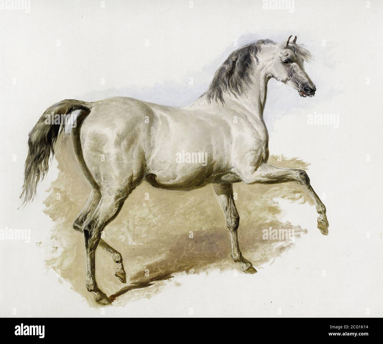 John frederick herring mare hi-res stock photography and images - Alamy