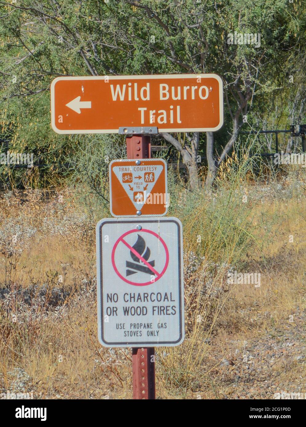 A Sign for Wild Burro Trail and use courtesy on the trail. No fires ...