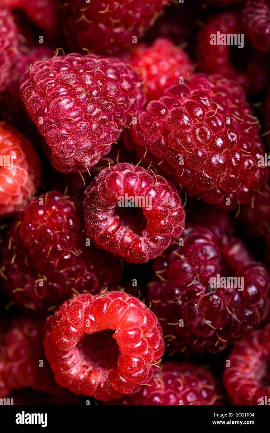 Fresh and sweet red raspberries texture. fruit pile background Stock ...