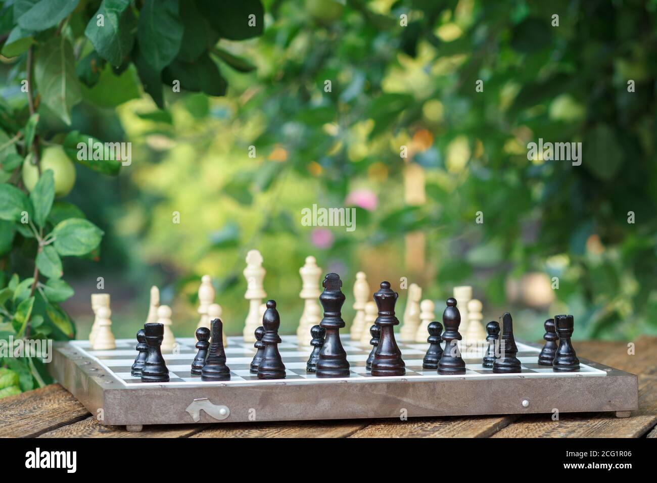 Chess board with chess pieces on the wooden desk with branches of the ...