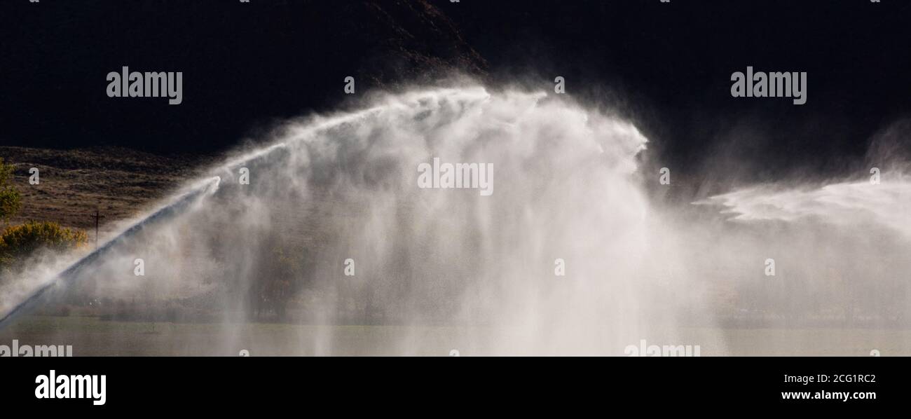 An abstract of high-volume sprinkler irrigation on a ranch raising ...