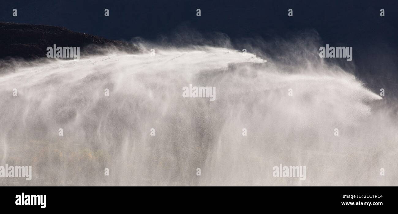 An abstract of high-volume sprinkler irrigation on a ranch raising ...