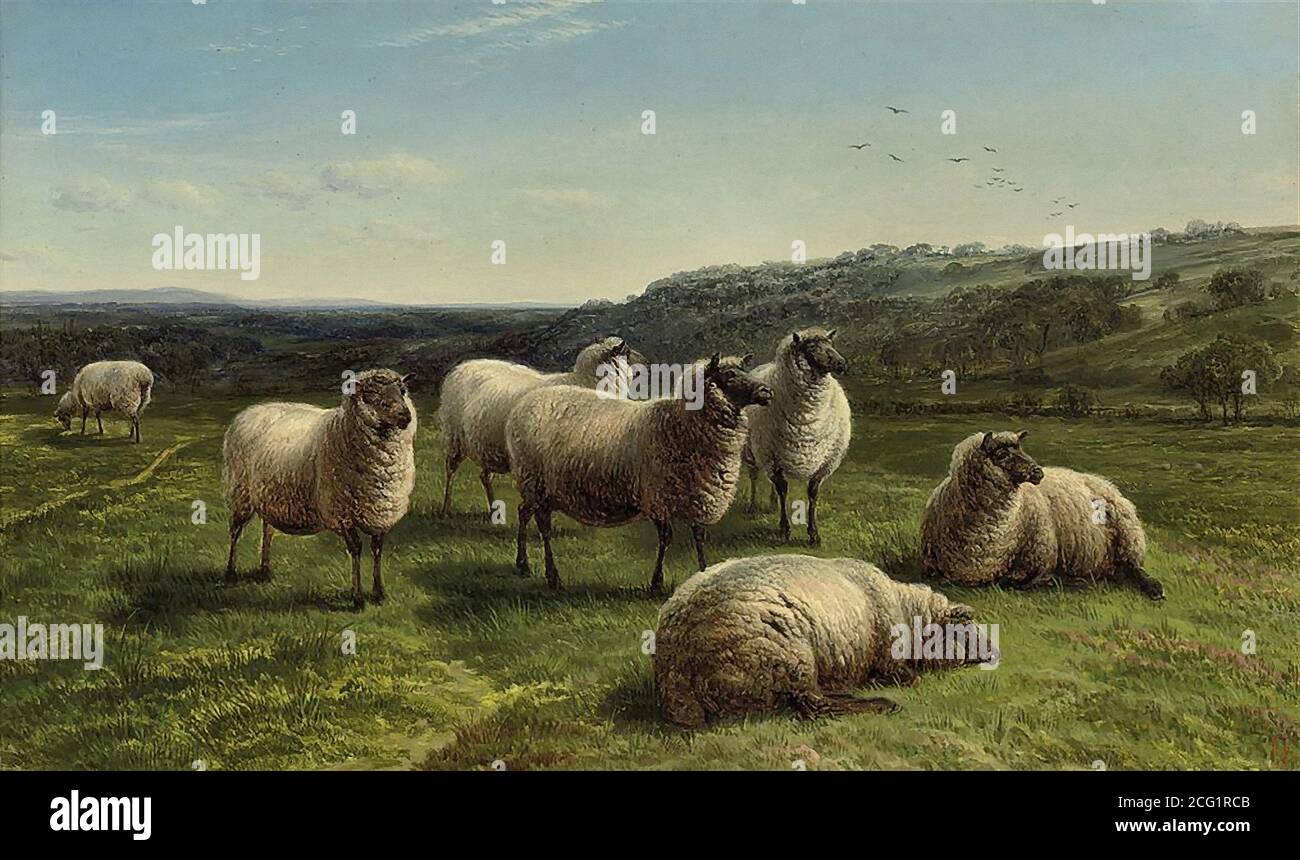 Jones Charles - Sheep Grazing Summertime - British School - 19th ...