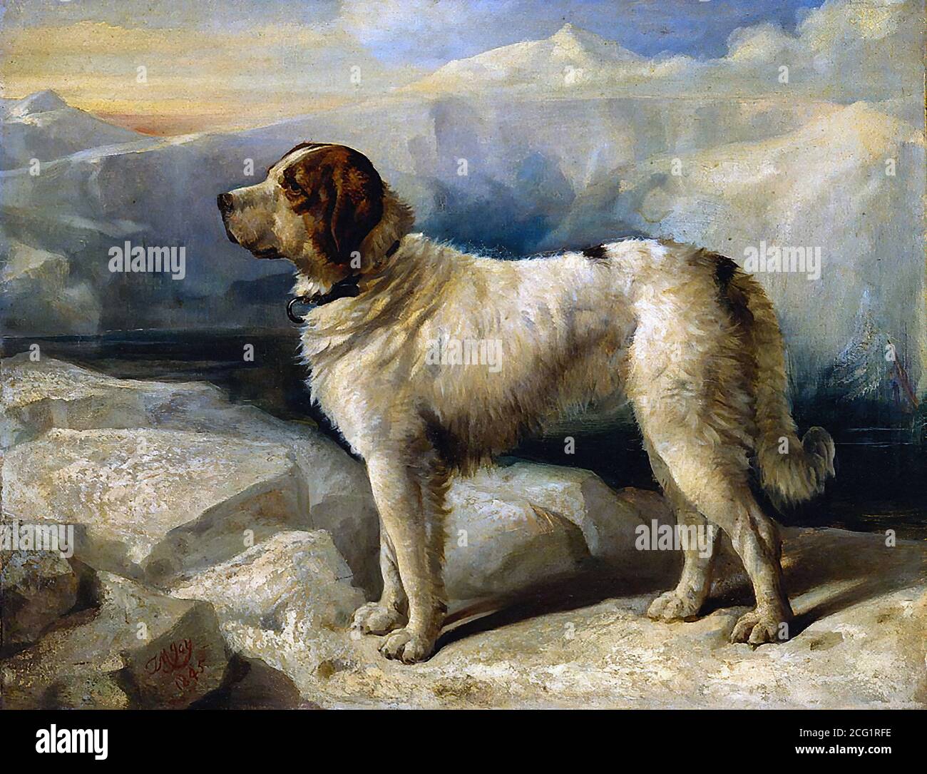 Thomas musgrave hi-res stock photography and images - Alamy