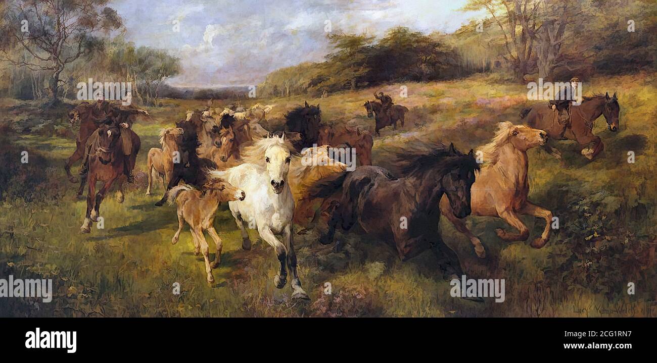 Kemp-Welch Lucy Elizabeth - Colt Hunting in the New Forest - British ...