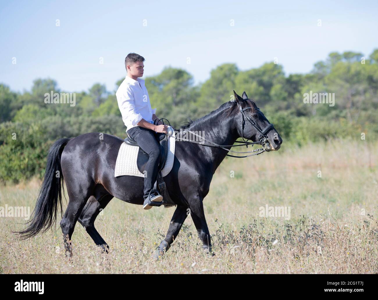 riding teenager are training her black horse Stock Photo - Alamy