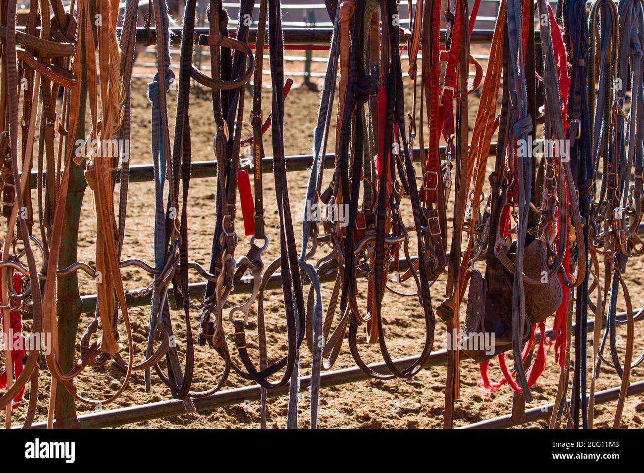 Halters and bridles for horseback trail rides in the Monument Valley ...