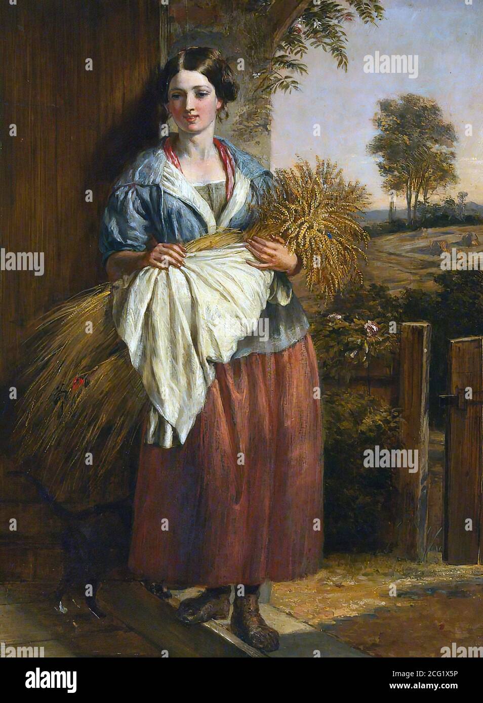 Gleaner hi-res stock photography and images - Alamy