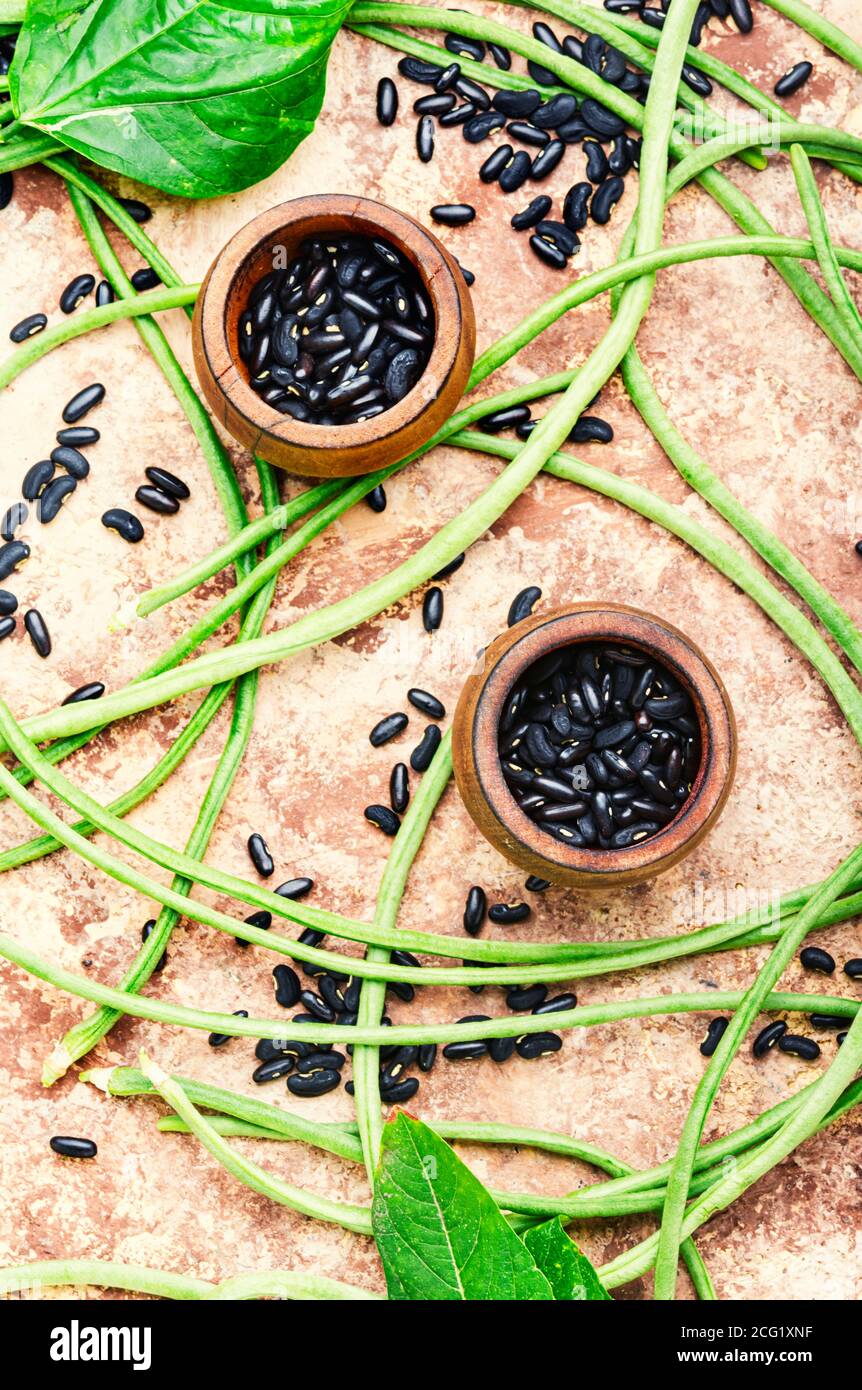 Vigna or cowpea pods and beans.Vegetable plant.Popular Chinese food ...
