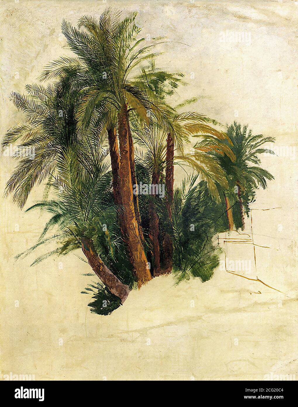 Lear Edward - Study of Palm Trees - British School - 19th Century Stock ...