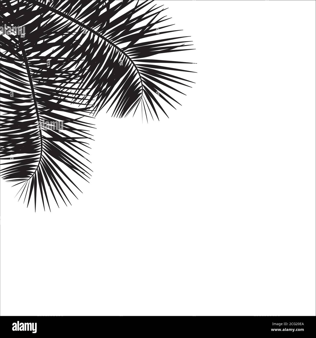 Beautiful Palm Tree Leaf Silhouette Background Vector Illustration ...