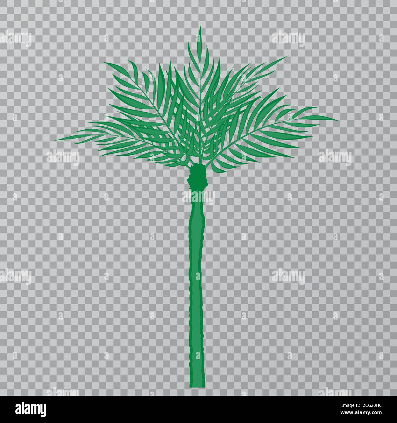Beautiful Palm Tree Leaf on transparent Background Vector Illustration ...