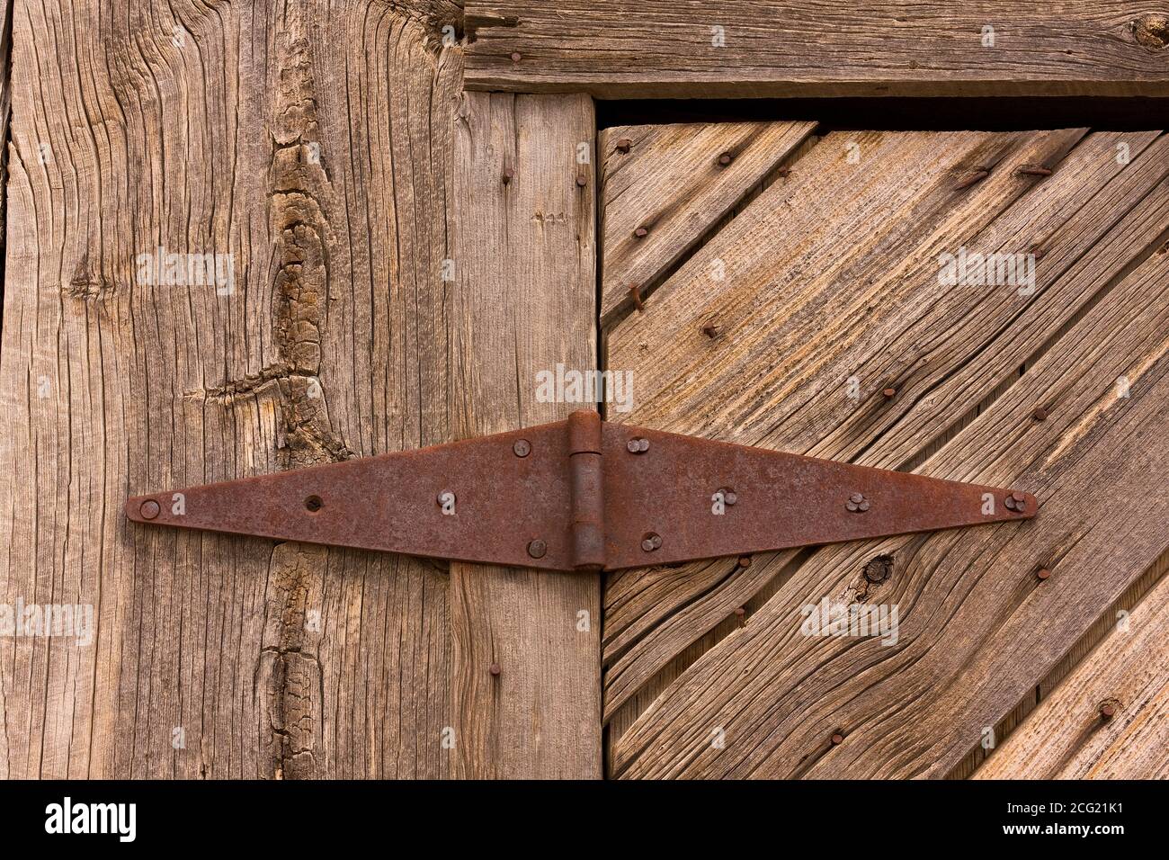 Rusted hinge on the weathered wooden door of a derelict building in the ...