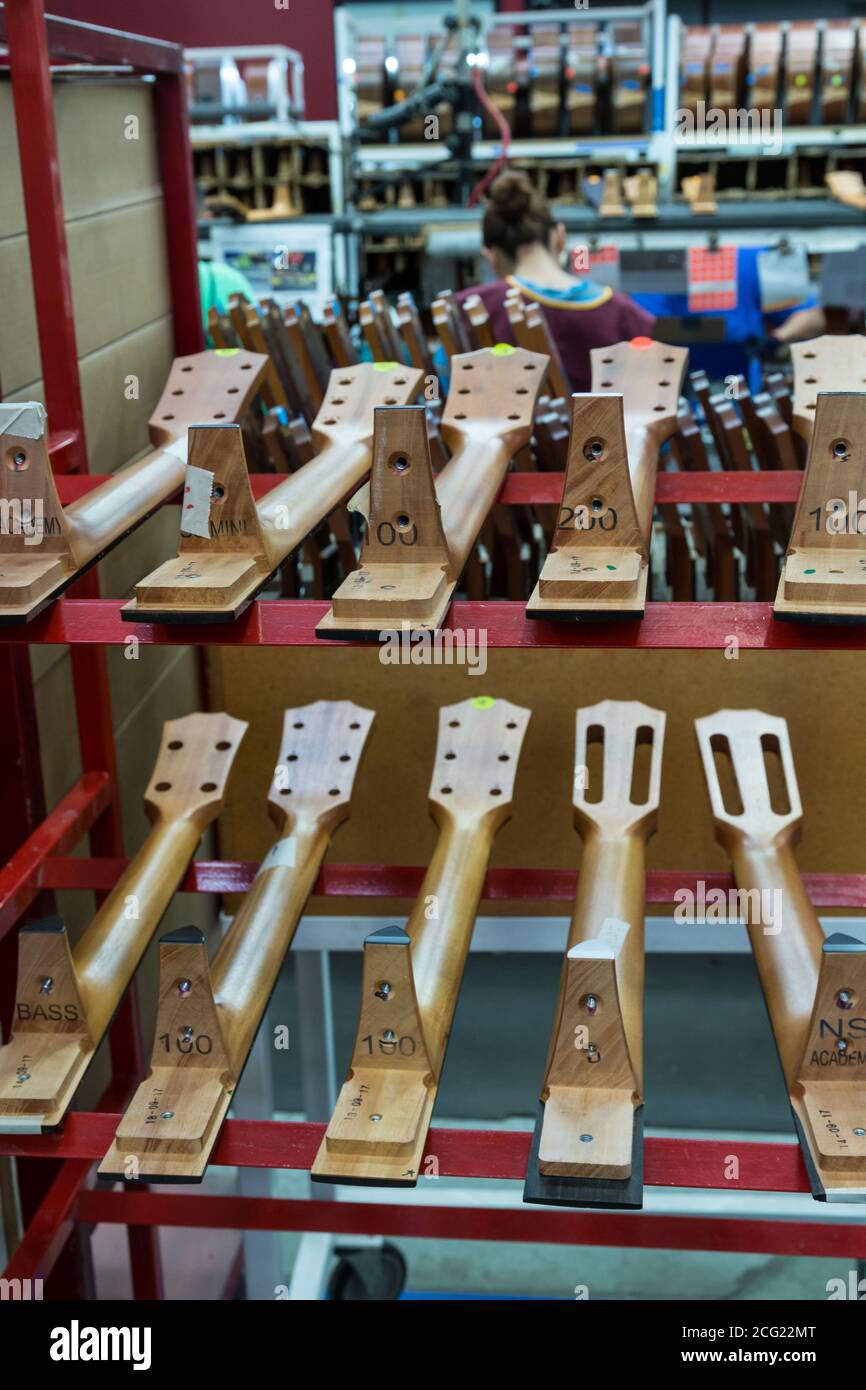 Guitar necks stacked, awaiting assembly in the Taylor Guitar factory in ...