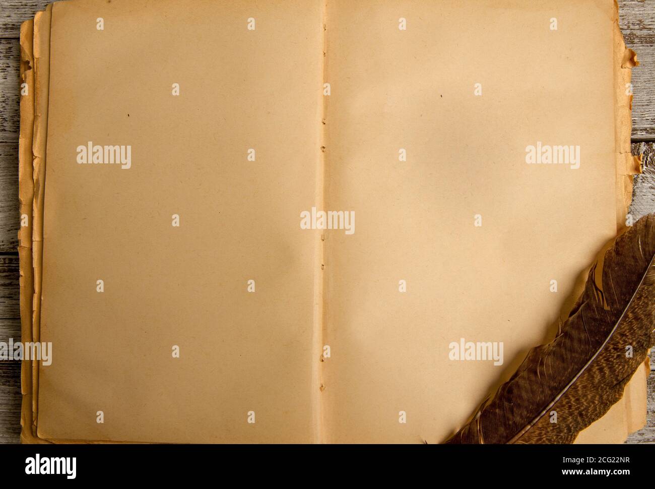 pen for writing Stock Photo - Alamy