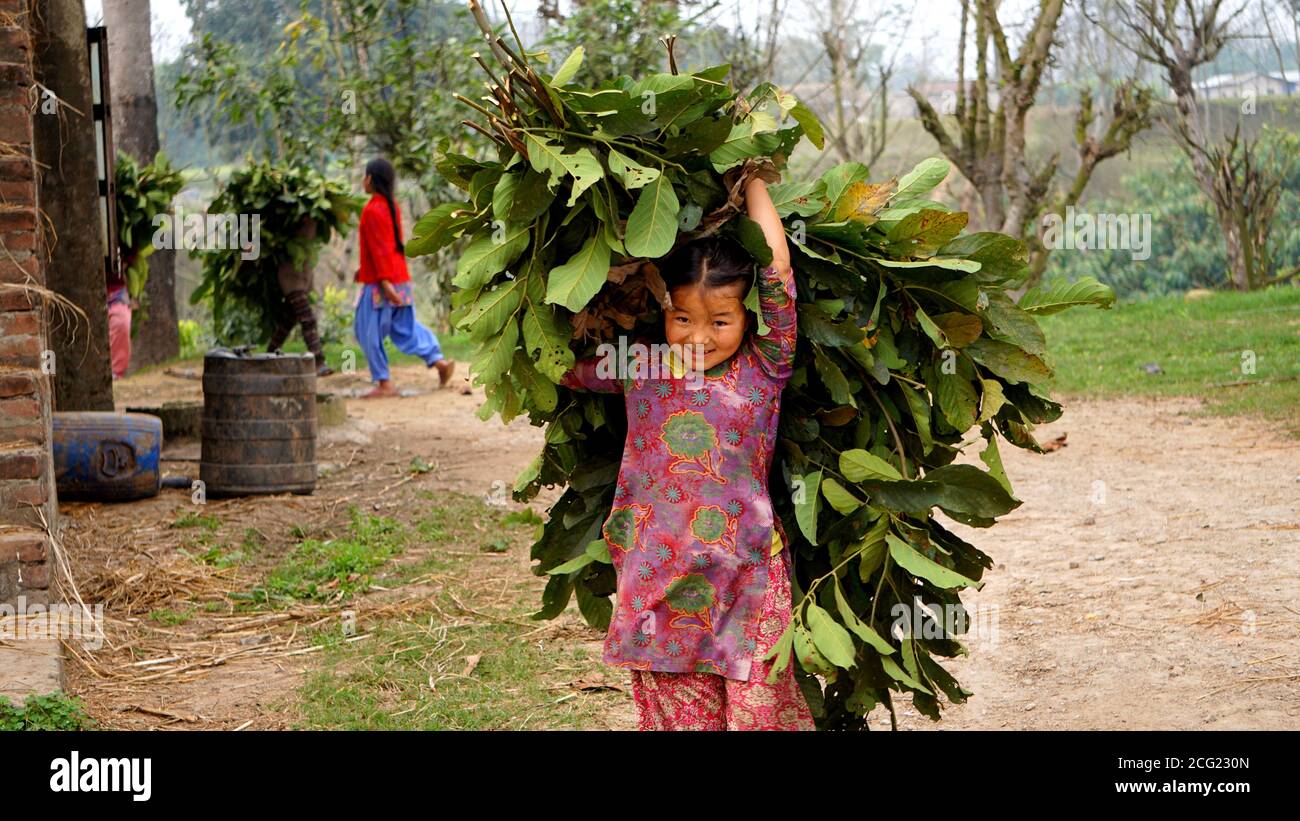 Himalayas daily life hi-res stock photography and images - Alamy
