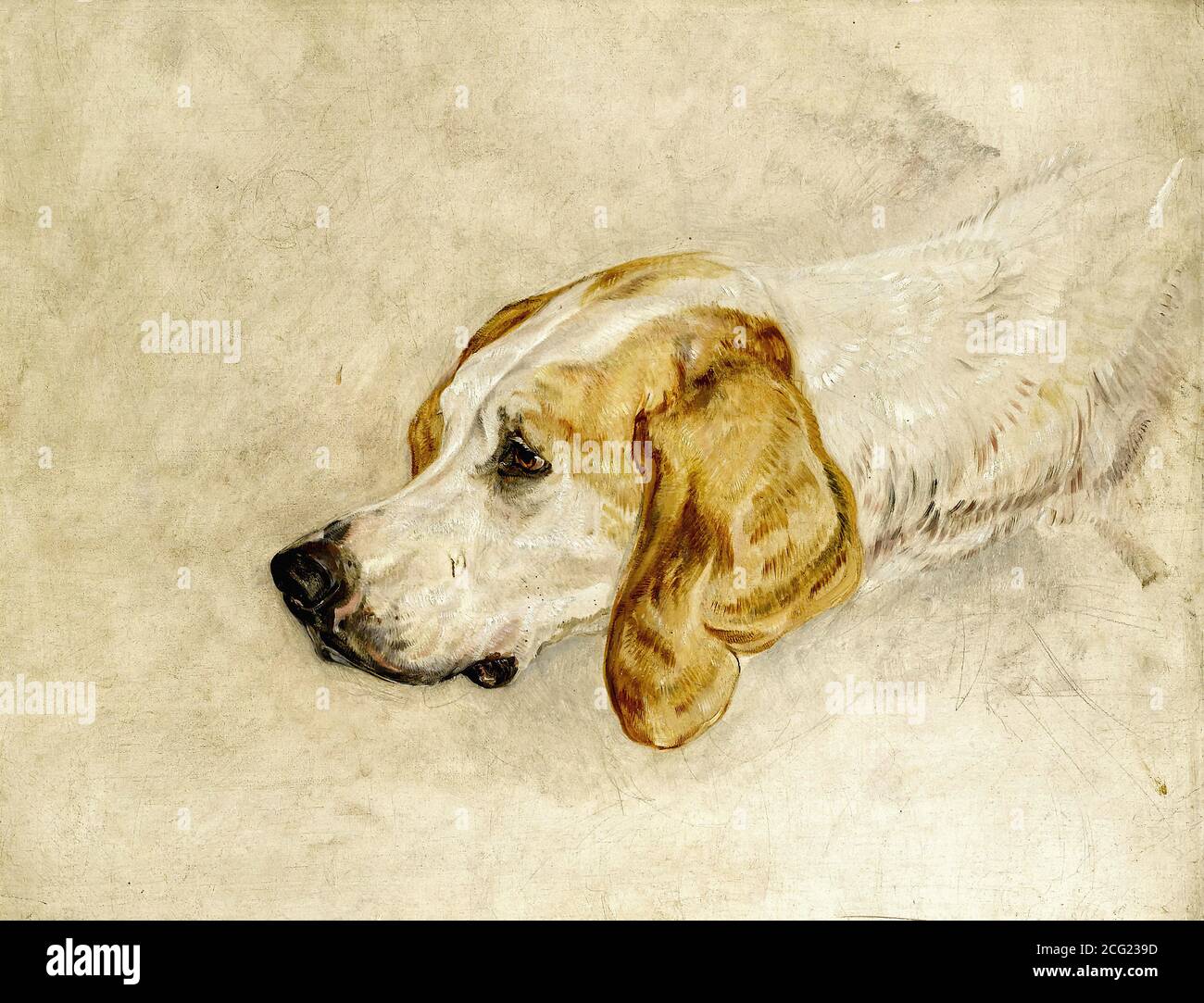 Lewis John Frederick - Rattler One of His Majesty's Staghounds 2 ...