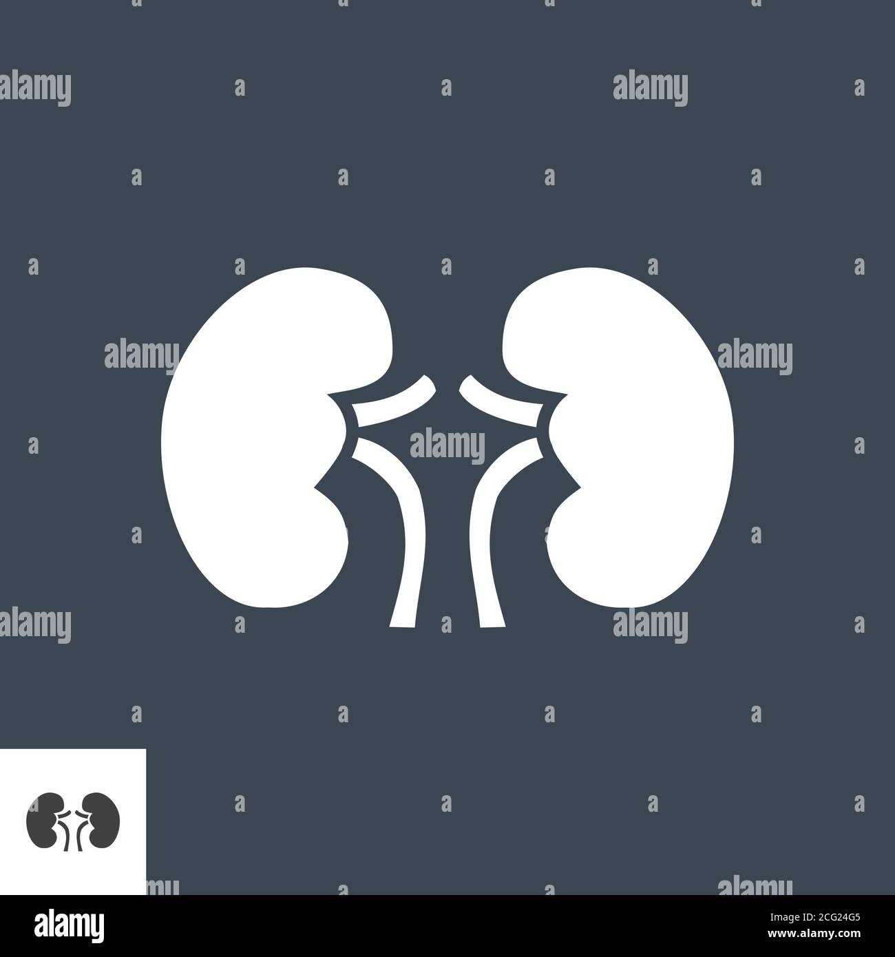 Healthy kidneys flat design Stock Vector Images - Alamy
