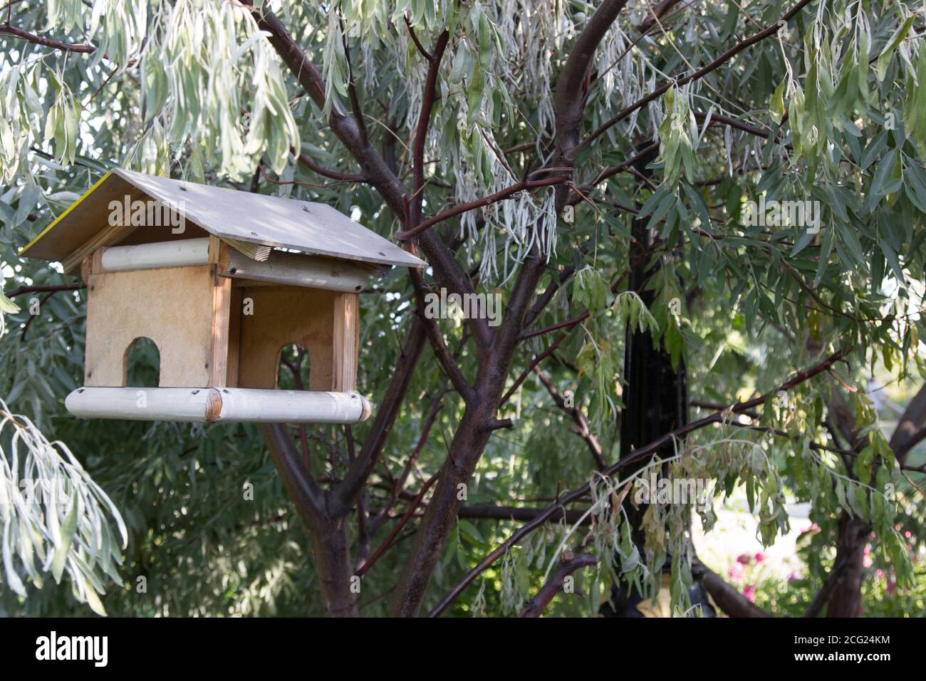 Birdhouse on a tree in forest Park, hand wood shelter for birds. Taking ...
