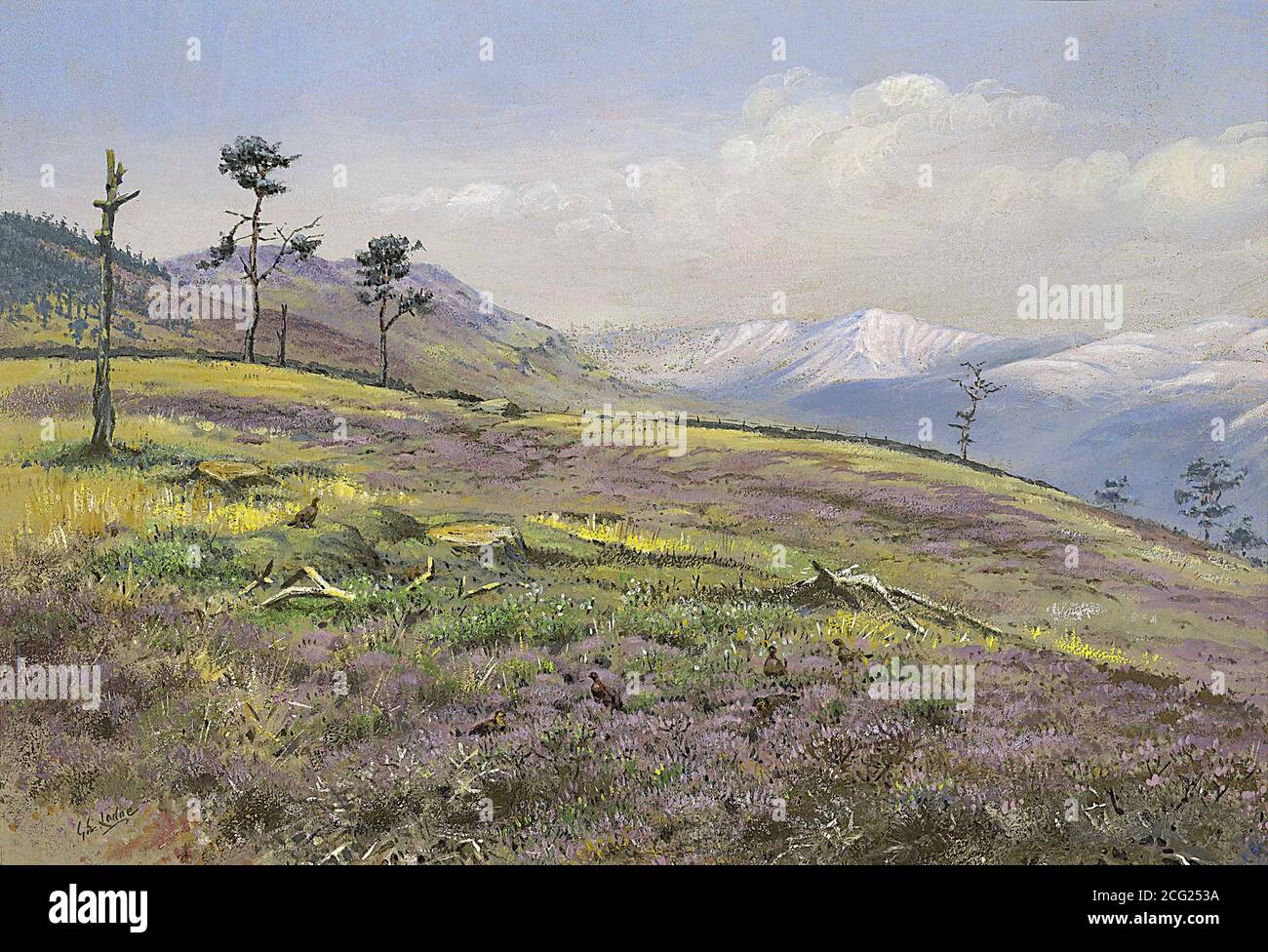 Lodge George Edward - Red Grouse Cortachy Angus - British School - 19th ...