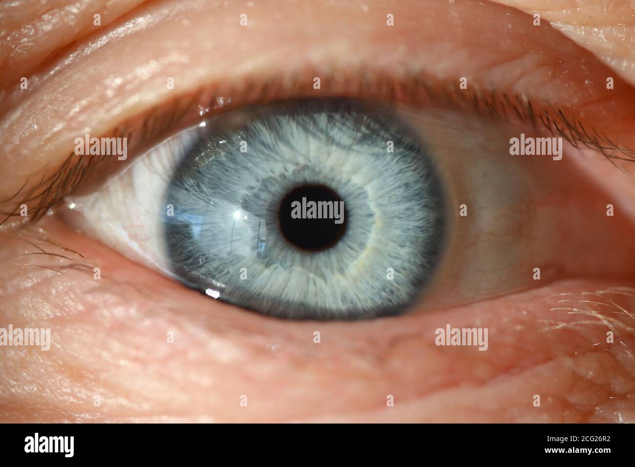 Black pupil hi-res stock photography and images - Alamy