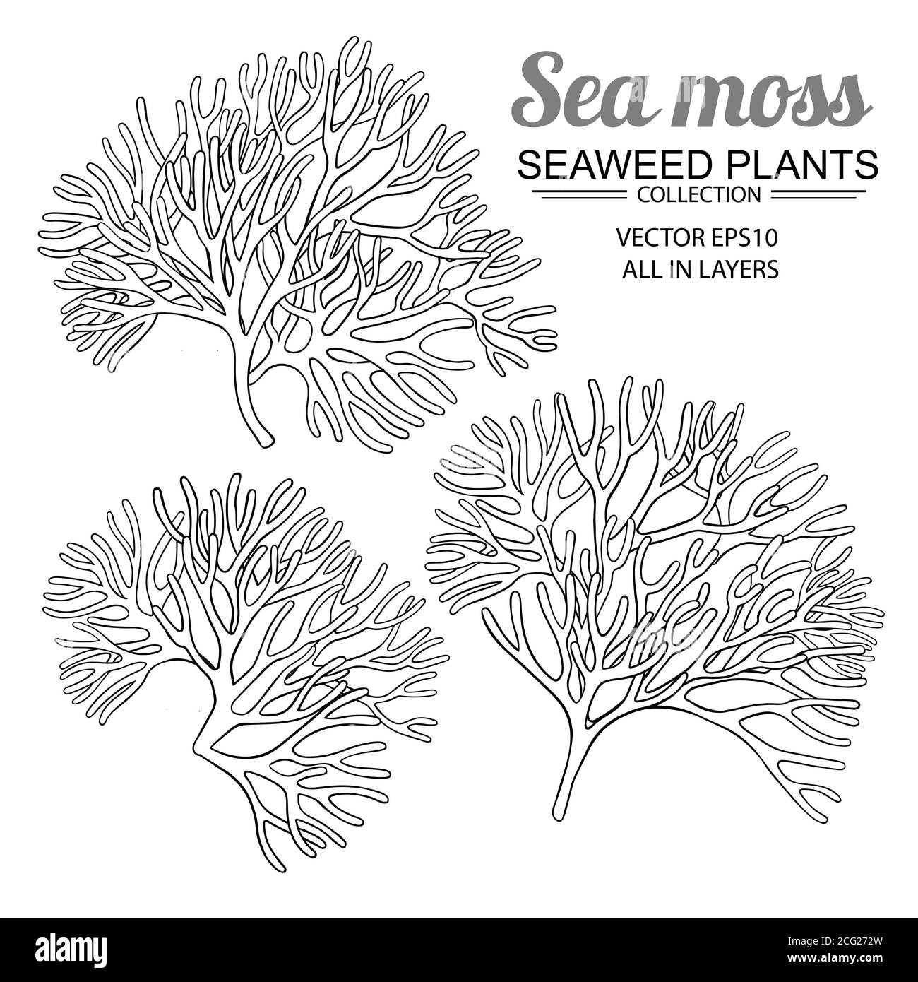 Moss drawing Stock Vector Images - Alamy