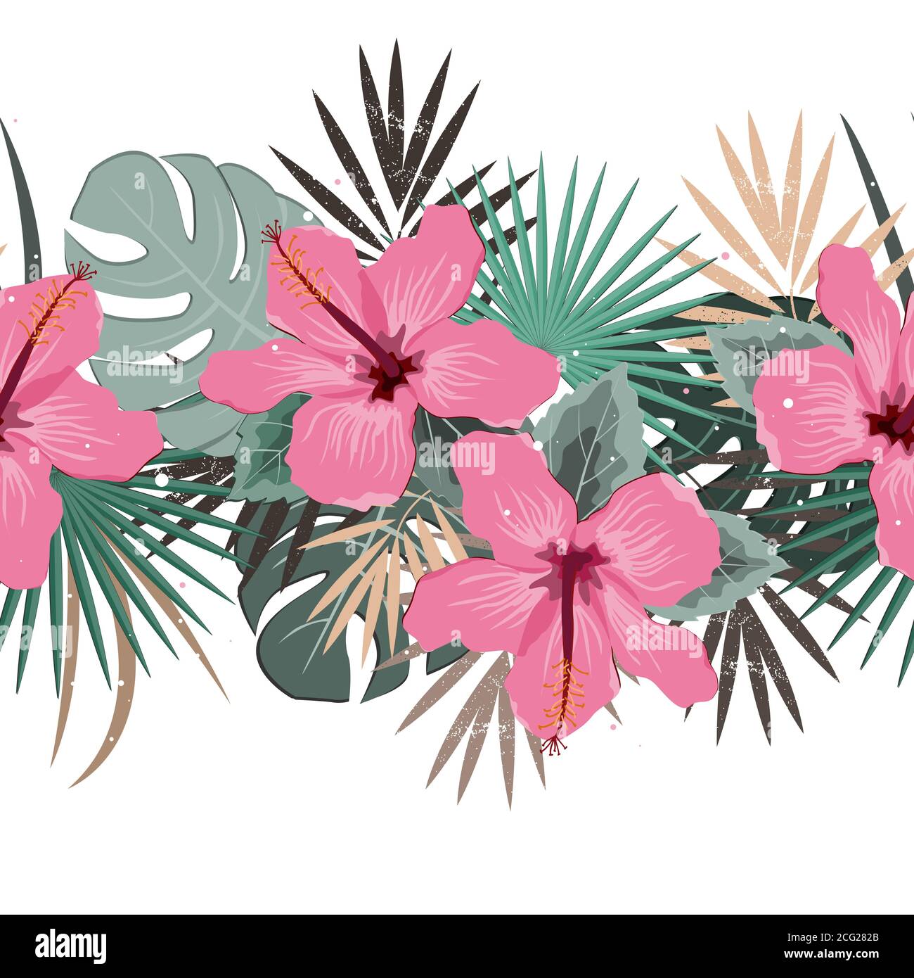Hibiscus Flower Clipart Border