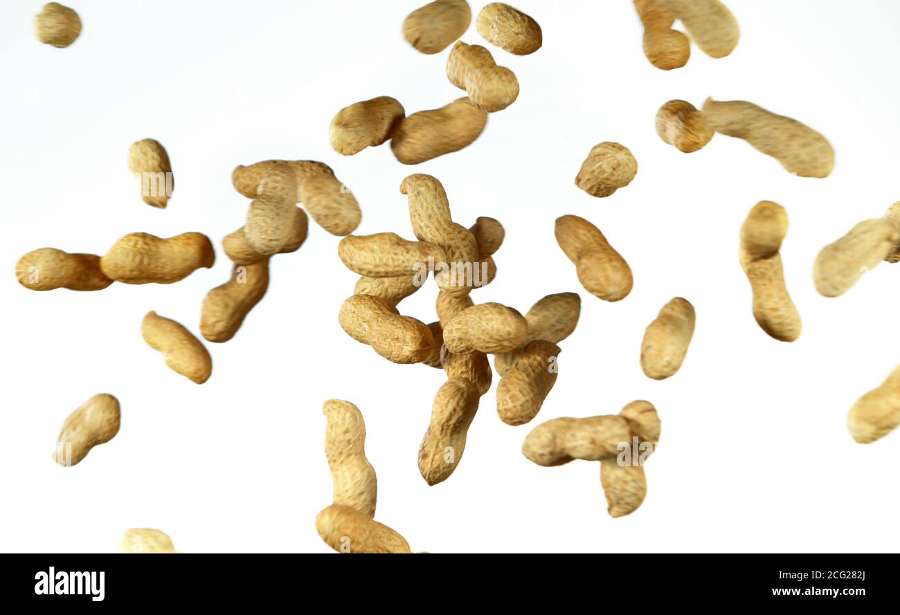 Realistic freeze motion of flying peanuts on white background Stock ...