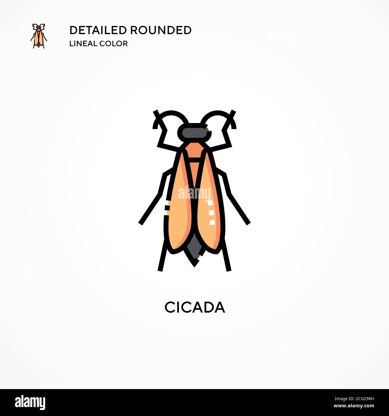 Cicadas illustration hi-res stock photography and images - Alamy