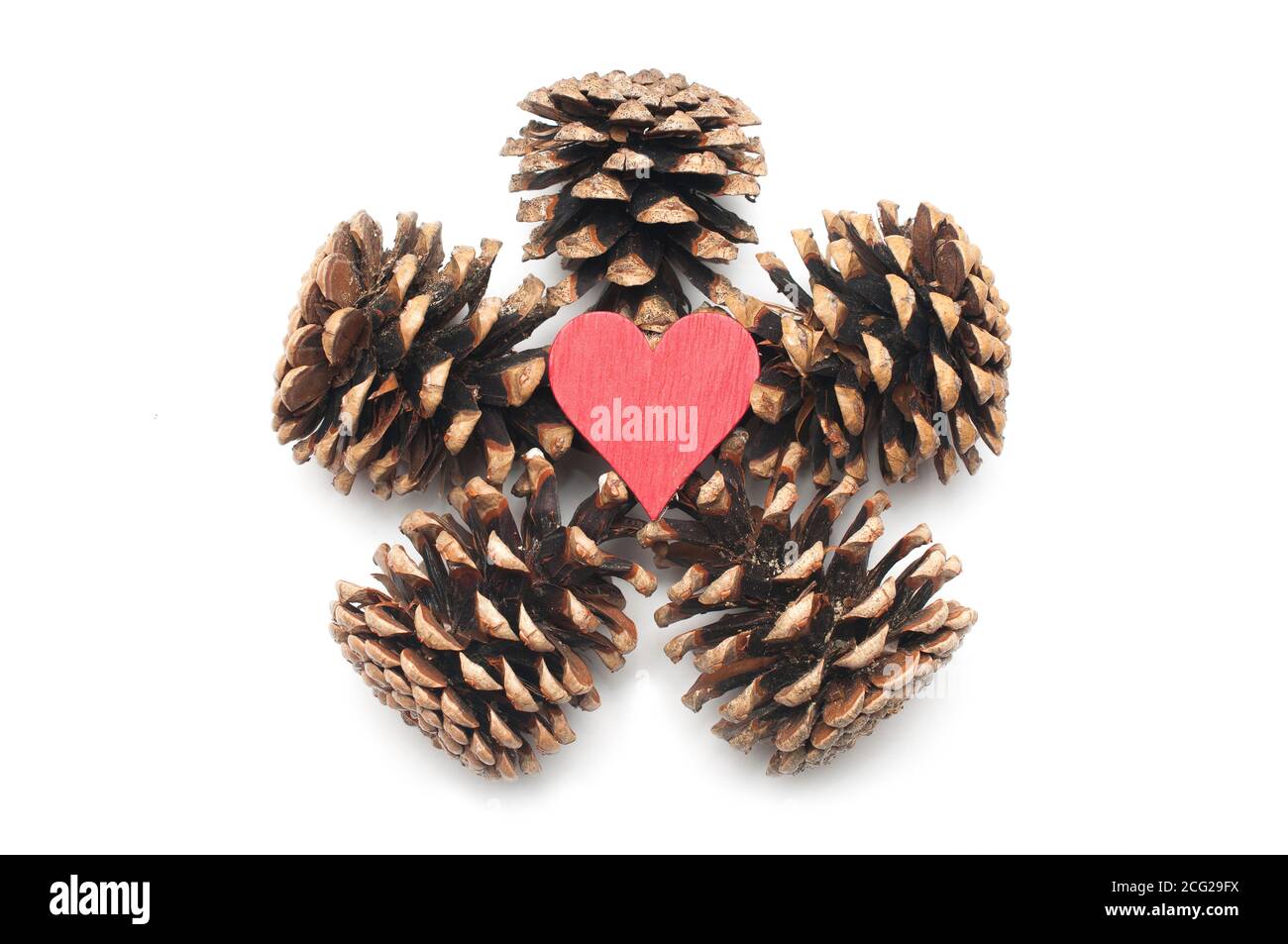 Heart pine cones Cut Out Stock Images & Pictures - Alamy