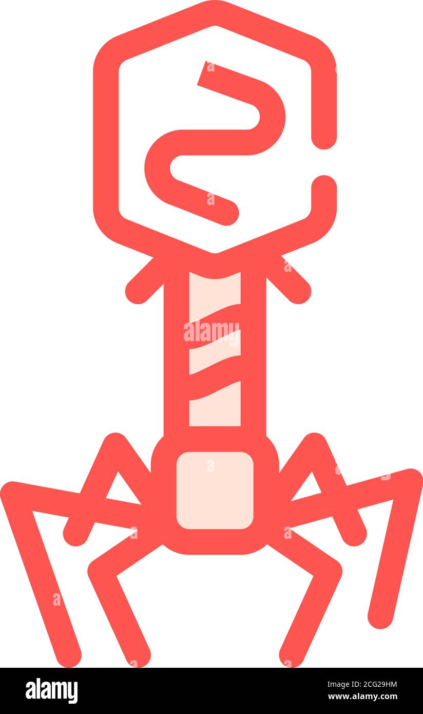 Bacteriophage Illustration Stock Vector Images - Alamy