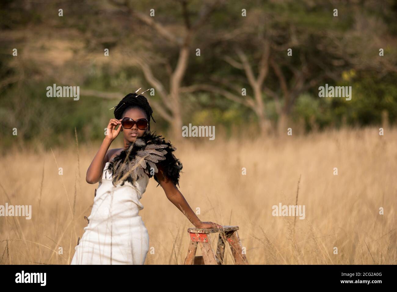 successful black woman model in african safari with sunglasses Stock ...