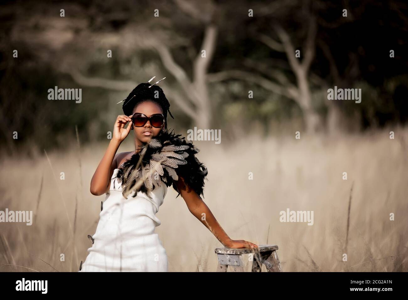 successful black woman model in african safari with sunglasses Stock ...