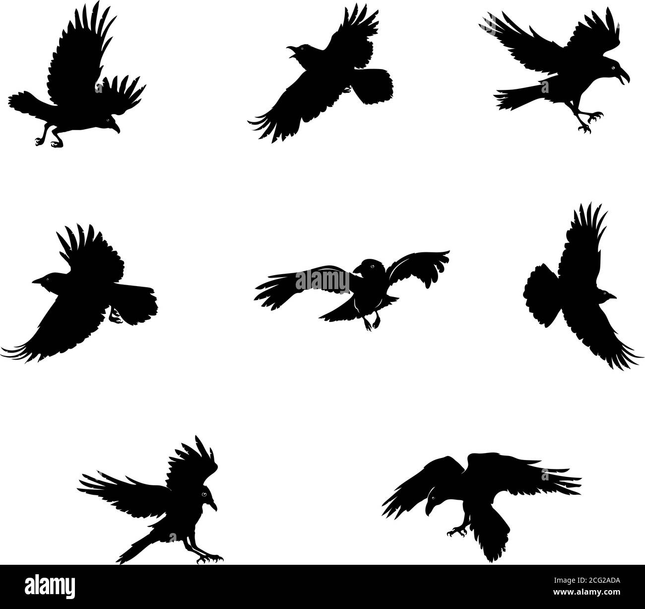 crow, raven, color, flying, vector, silhouette, image Stock Vector ...