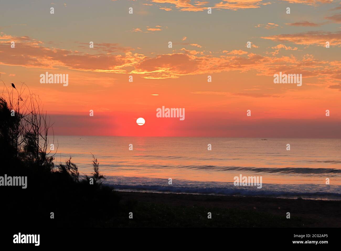 Rising from the ocean hi-res stock photography and images - Alamy