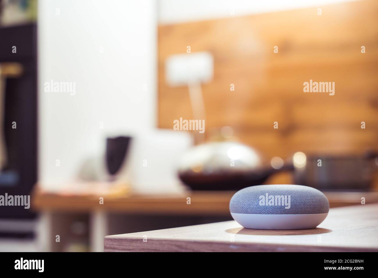 voice controlled smart speaker in a interior home voice controlled ...