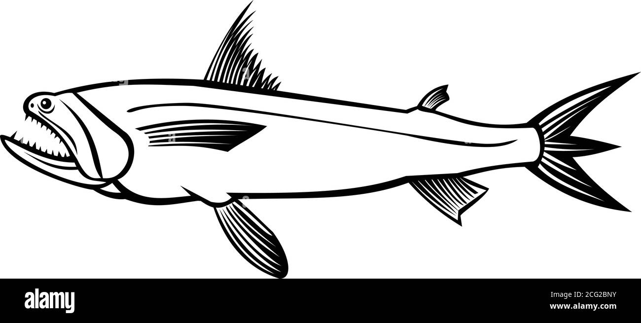 Bombay duck fish Stock Vector Images - Alamy