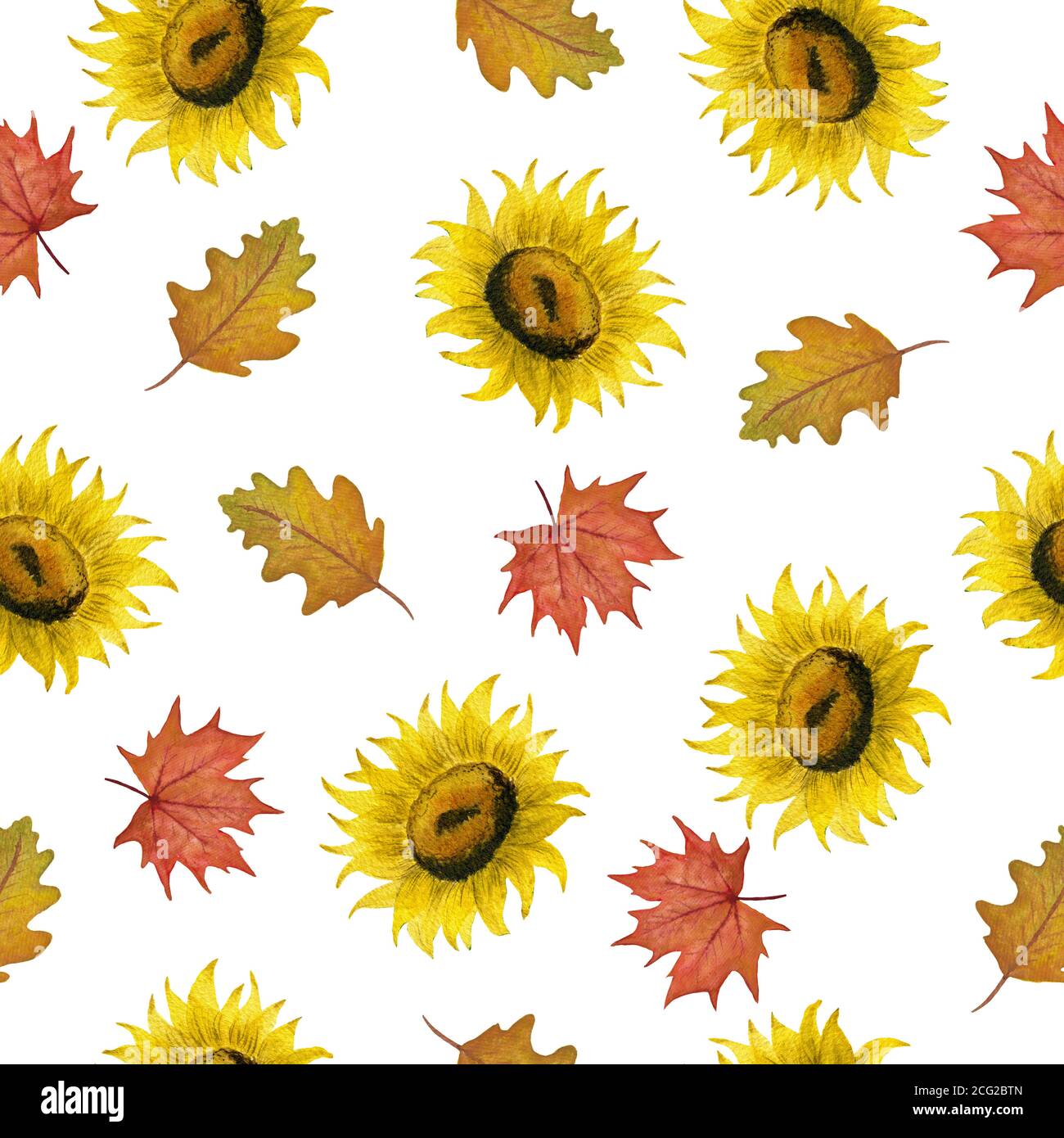 Sunflower Leaf Pattern