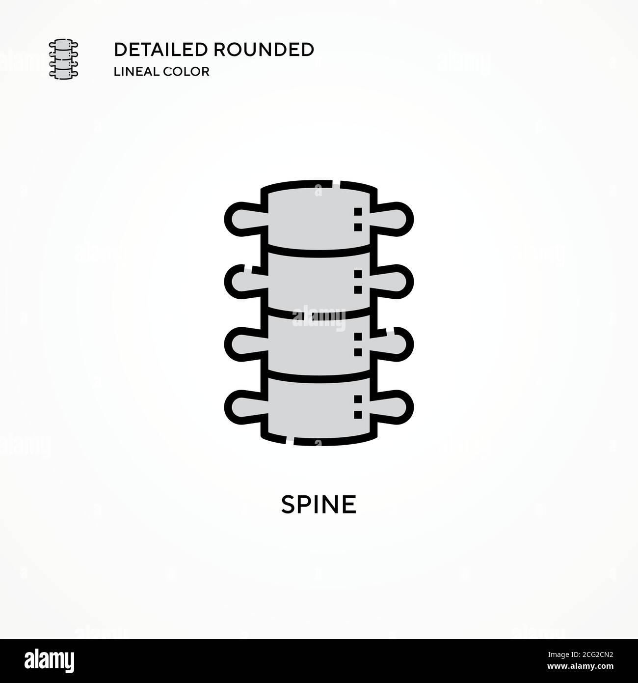 Spine vector icon. Modern vector illustration concepts. Easy to edit ...