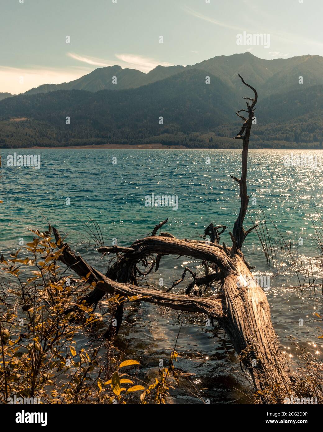 Rara lake hi-res stock photography and images - Alamy