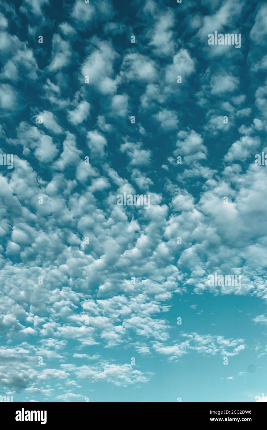 Stock images free download hi-res stock photography and images - Alamy