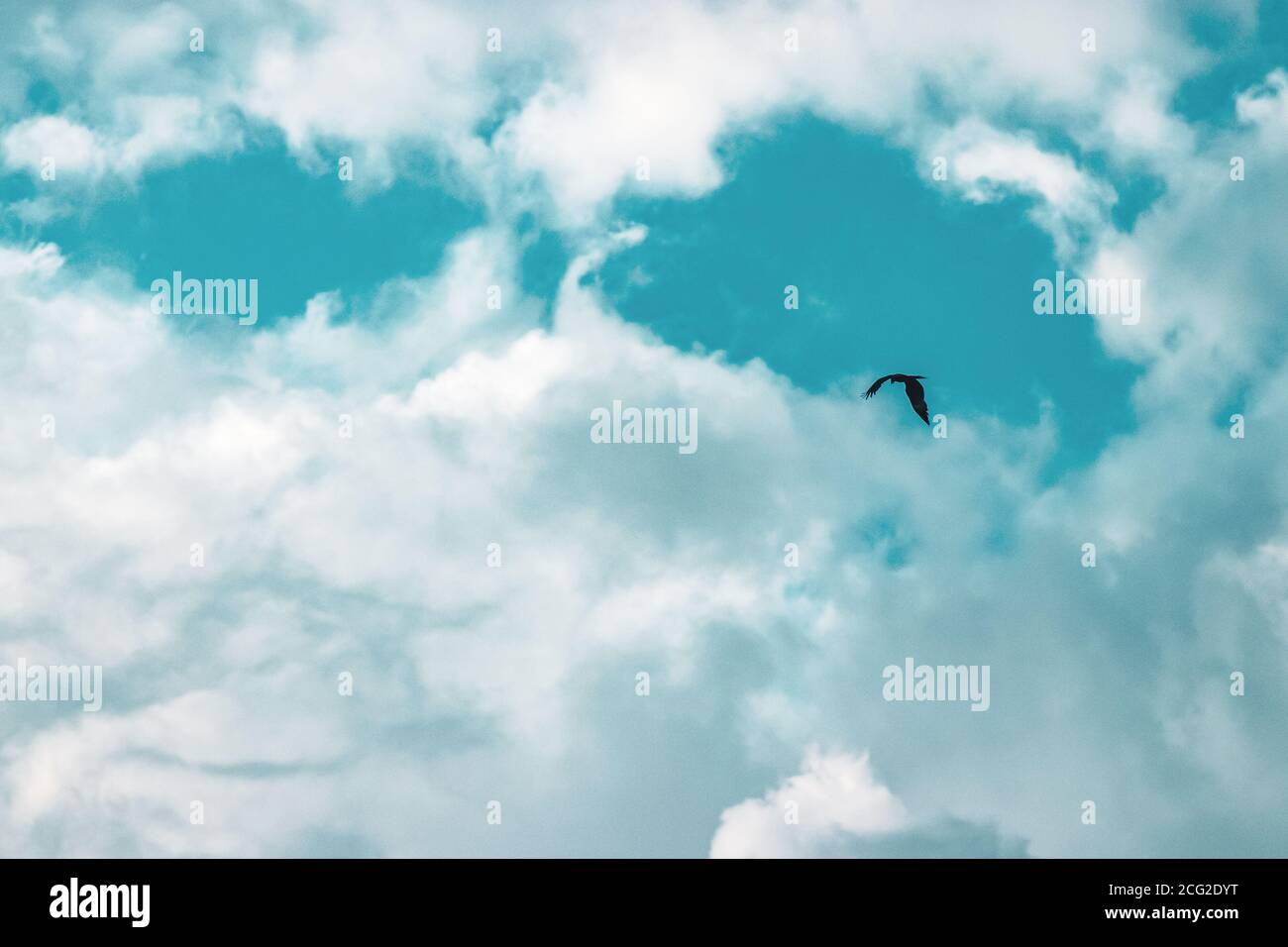 Hd images download free hi-res stock photography and images - Alamy