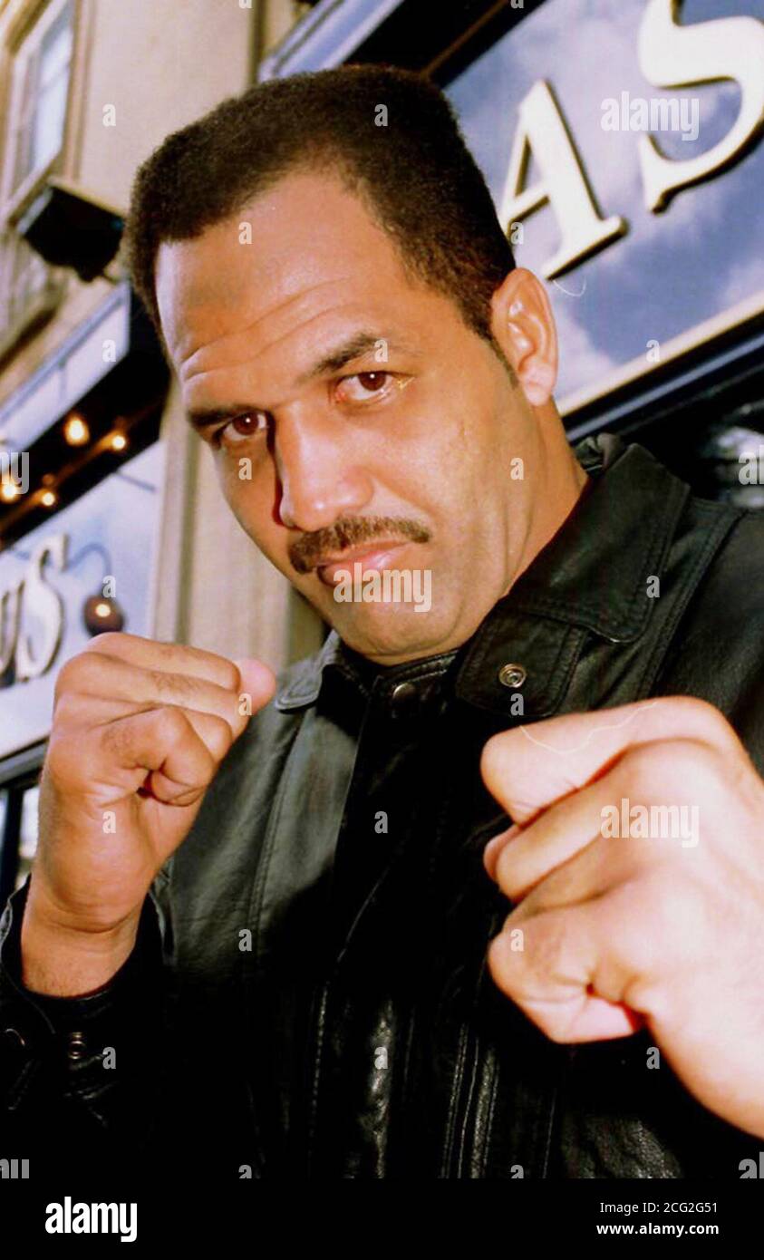 Martin v hi-res stock photography and images - Alamy