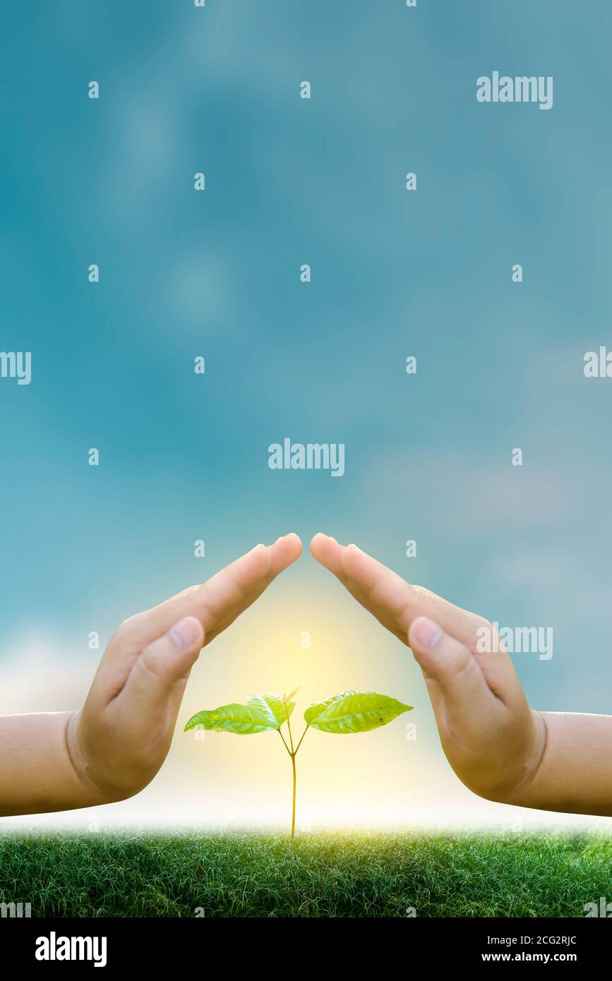 Renewable energy concept Earth Day or environment protection Hands ...