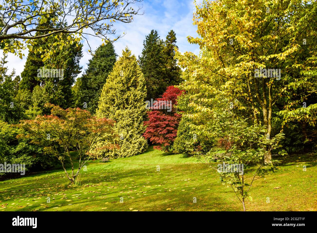 Killerton estate in devon hi-res stock photography and images - Alamy