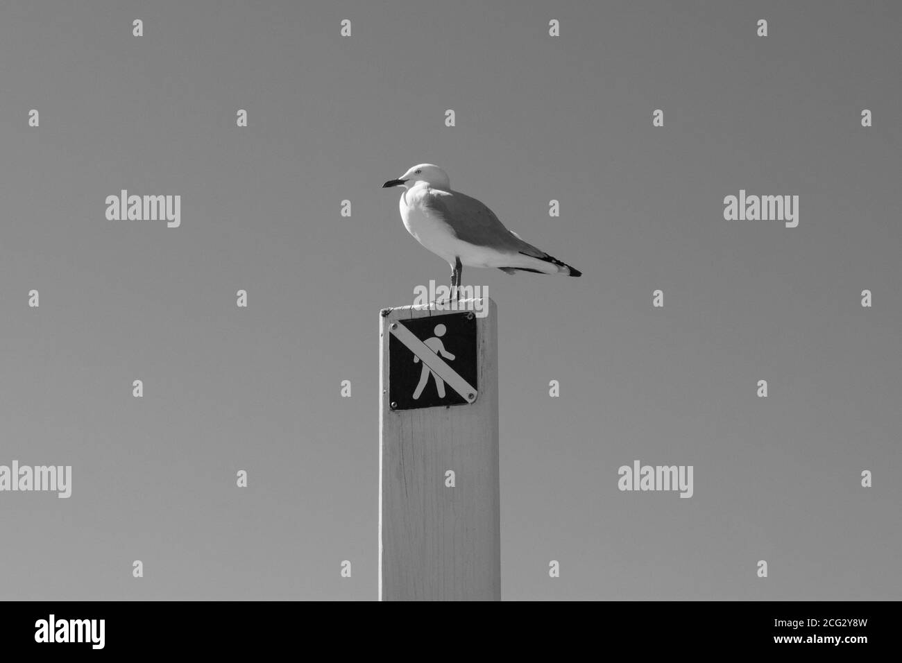 Black signage hi-res stock photography and images - Alamy