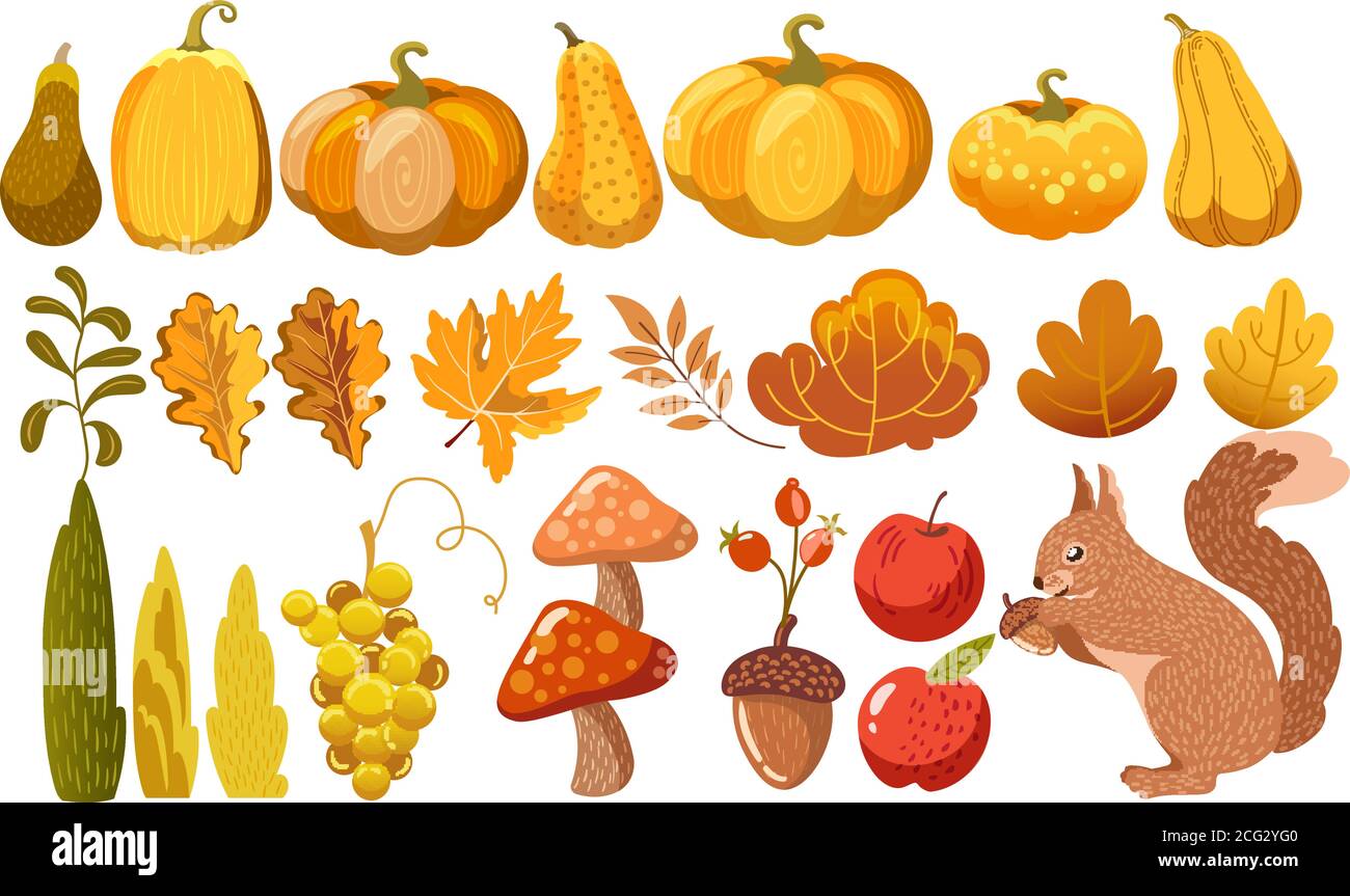 Set of pumpkins, leaves, bushes, mushrooms, acorn, grapes, apples and a ...